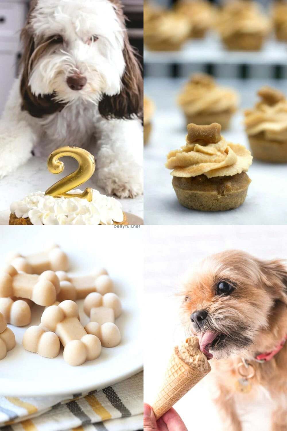 15 Dog Treat Recipes Your Pup will Love! - No Fuss Kitchen
