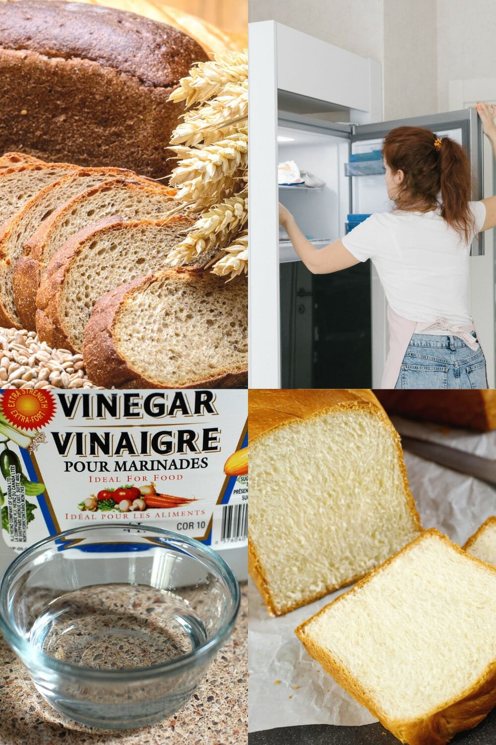 (Exactly) How to Keep Bread from Molding: genius hacks - No Fuss Kitchen